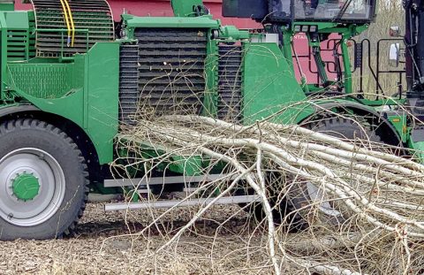 Albach Chipper | SENNEBOGEN LLC