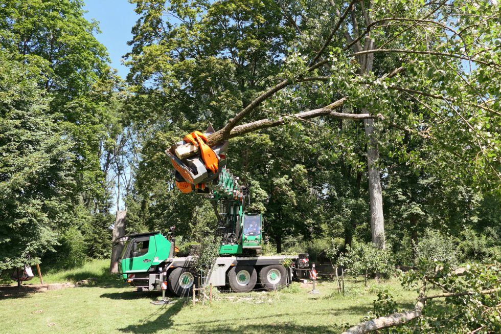 Fallbach Felling Crane - SENNEBOGEN LLC