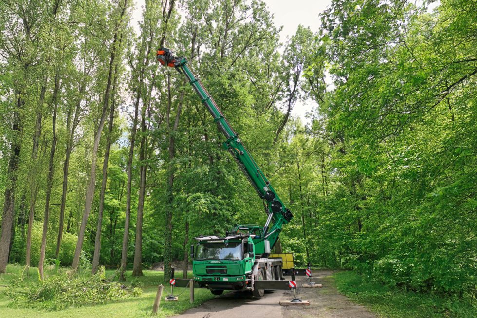 Fallbach Felling Crane - SENNEBOGEN LLC